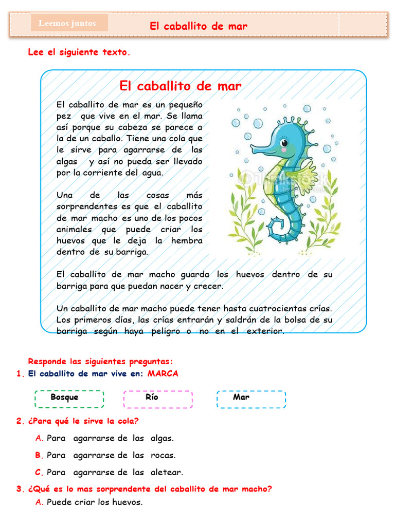 LEEMOS El Caballito de Mar | PDF
