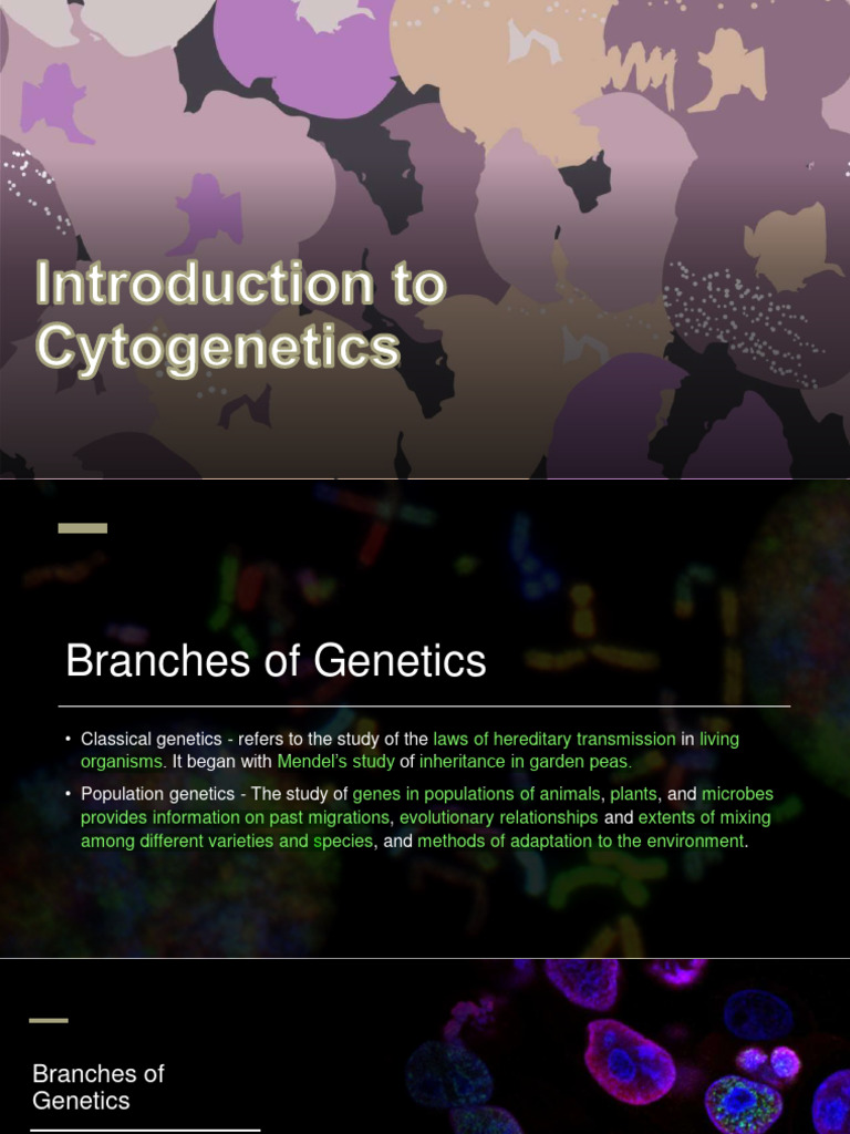 Introduction To Cytogenetics | PDF | Dna | Gene