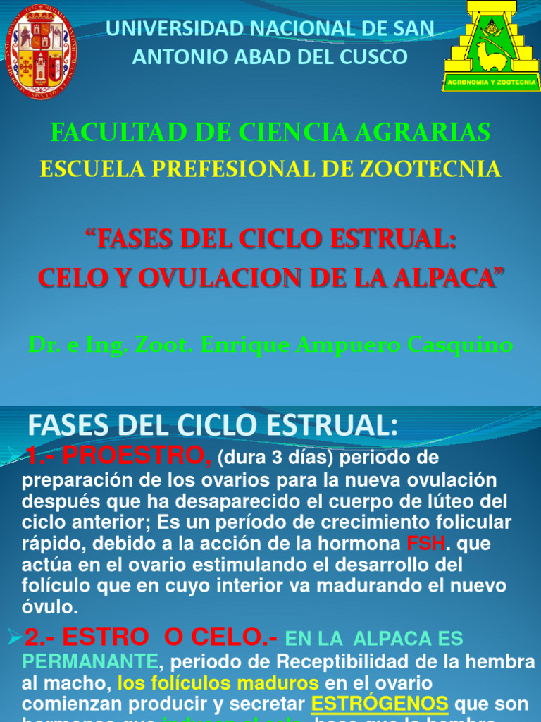 Ciclo Estrual, Celo y Ovulacion de La Alpaca | PDF | Hormona ...