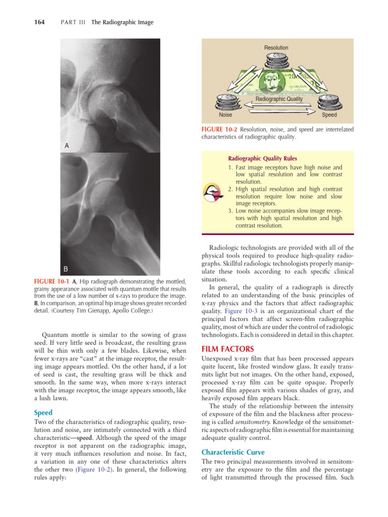 Bushong 10th (Dragged) 3 | PDF
