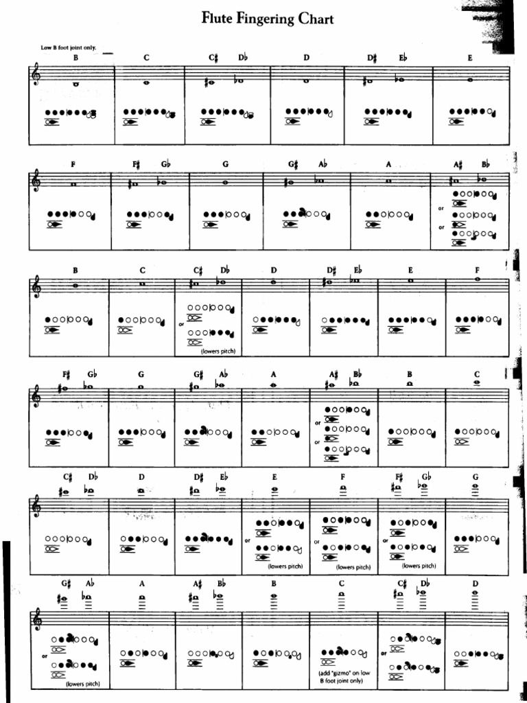 Flute Fingering and Trill Chart | PDF
