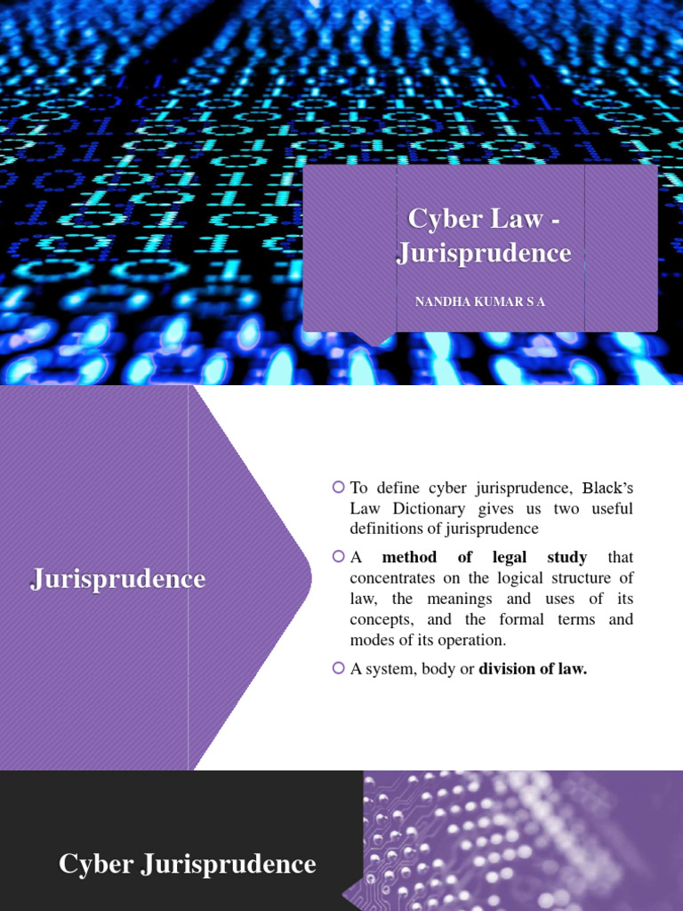 Cyber Law - Jurisprudence | PDF