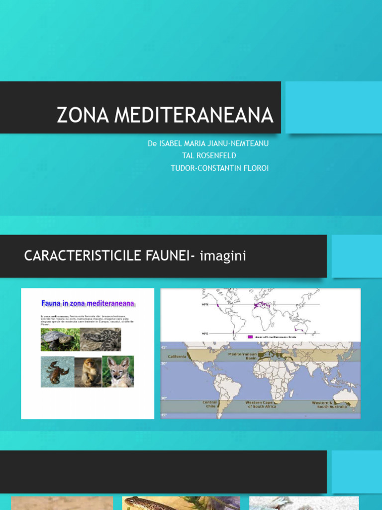Zona Mediteraneana | PDF