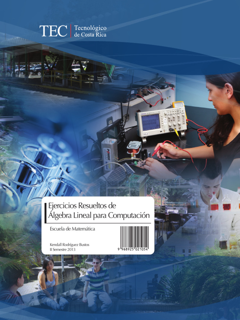 Ejercicios Resueltos de Álgebra Lineal para Computación | PDF | Determinante | Matriz (Matemáticas)