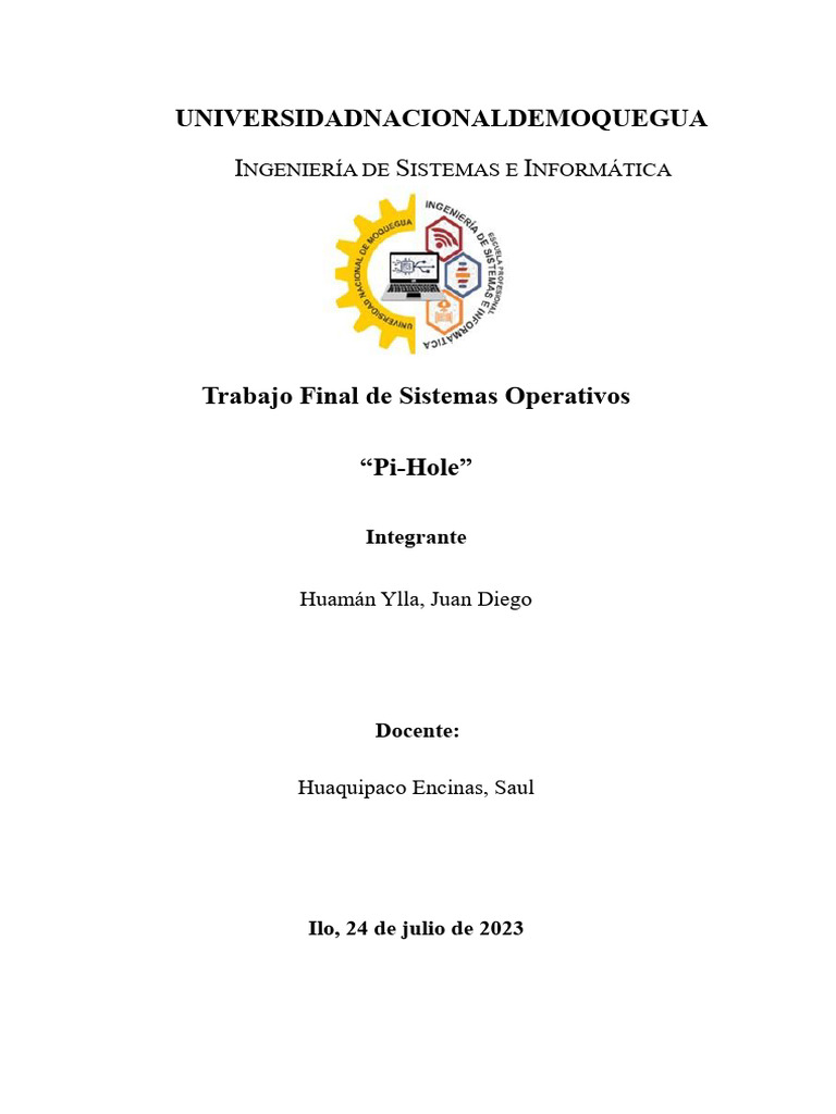 SistemasOP Pi Hole | PDF | Cubierta segura | Raspberry Pi