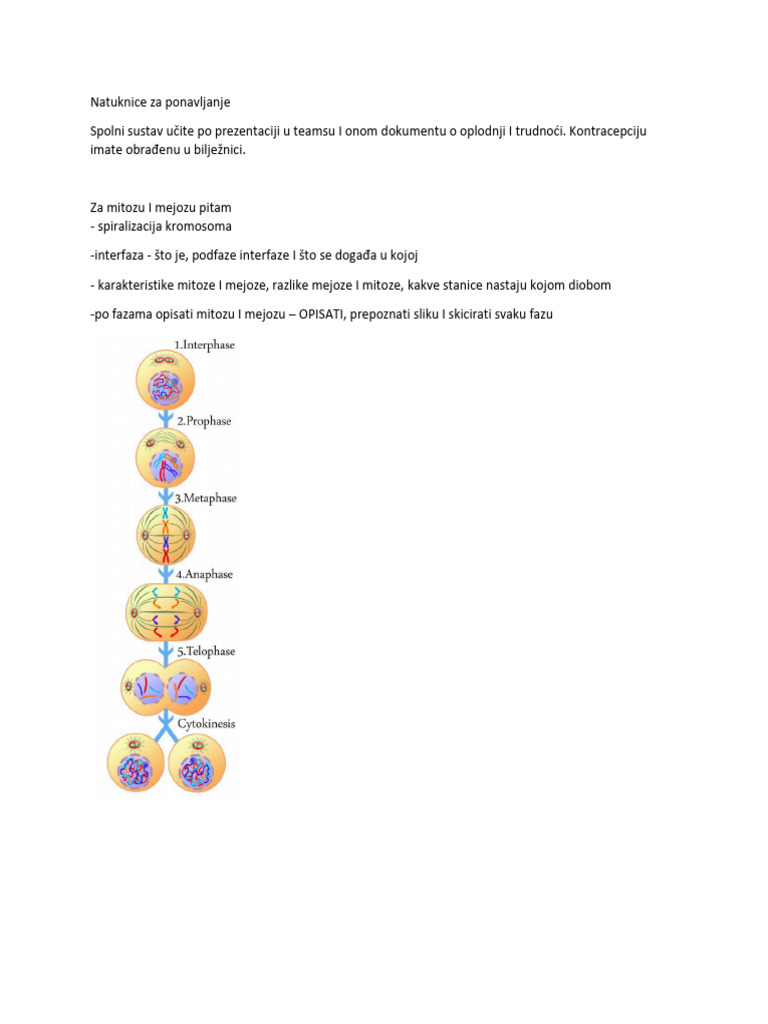 Priprema za ispit 3r, reproduktivni sustav, stanični ciklusi | PDF