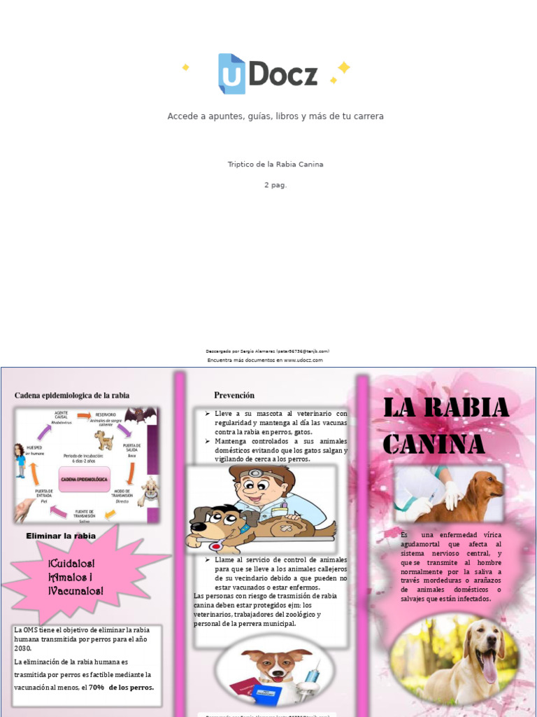 Triptico de La Rabia | PDF