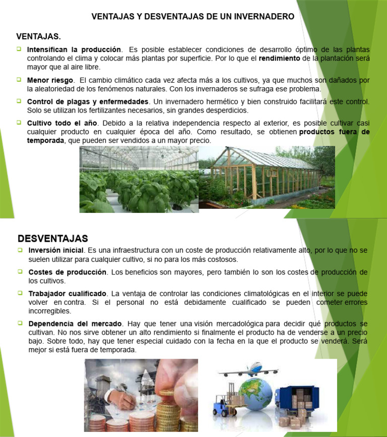 Ventajas y Desventajas de Un Invernadero | PDF