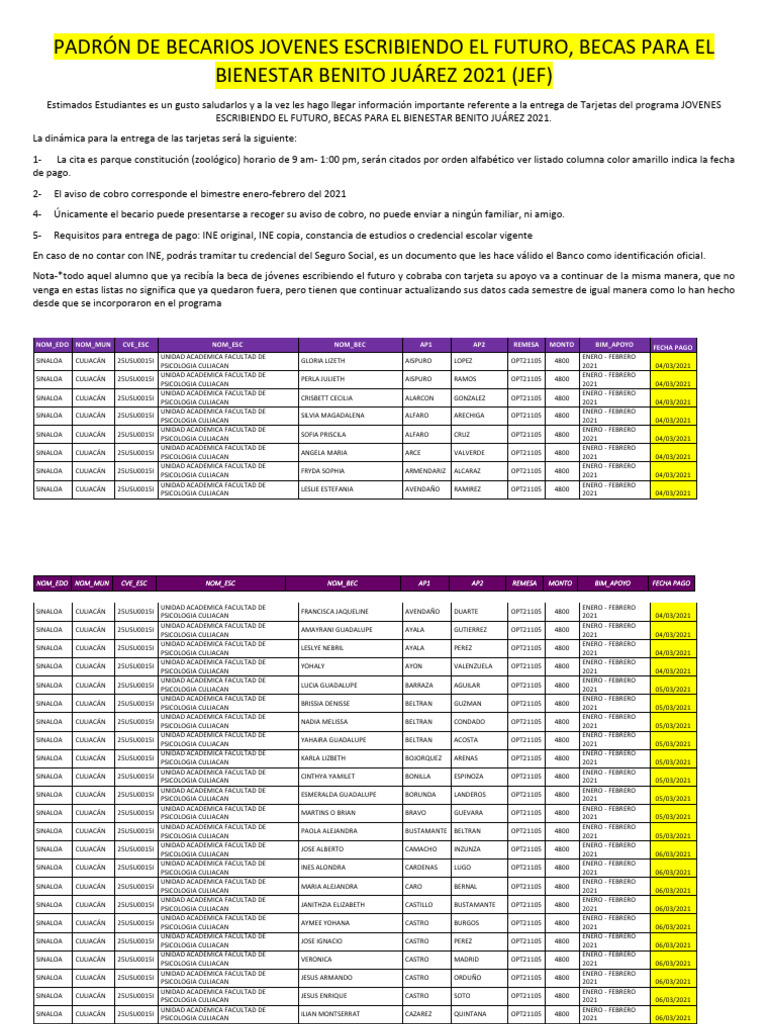 Becarios Jovenes Escribiendo El Futuro | PDF