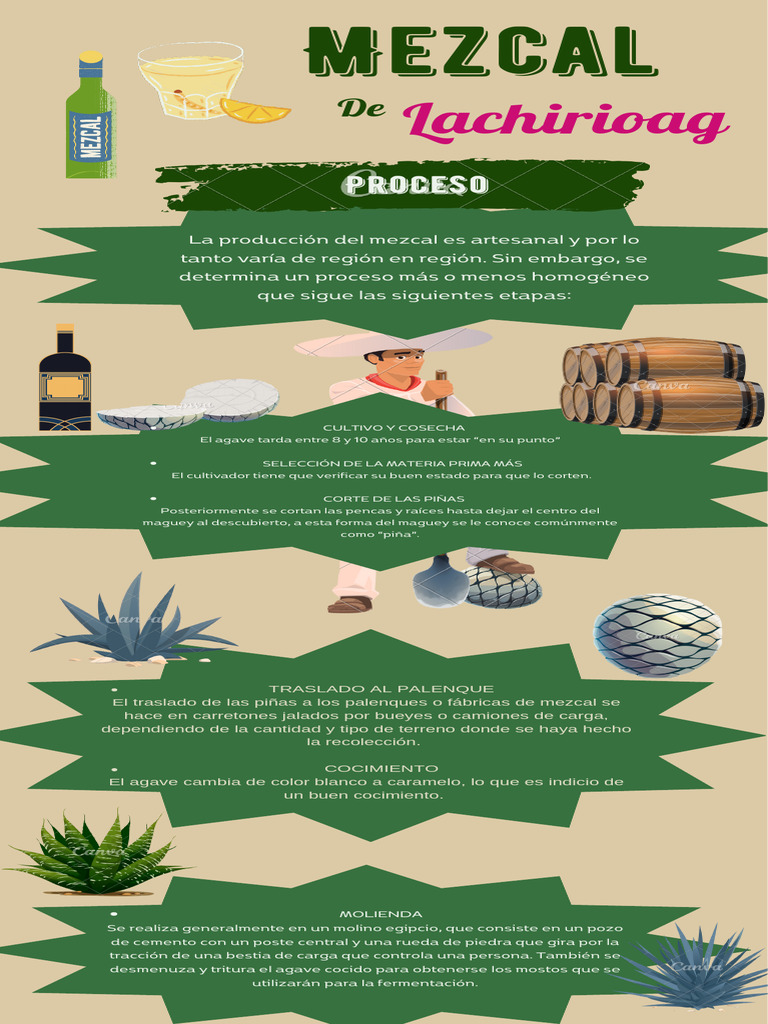 Proceso de Elaboración del Mezcal | PDF