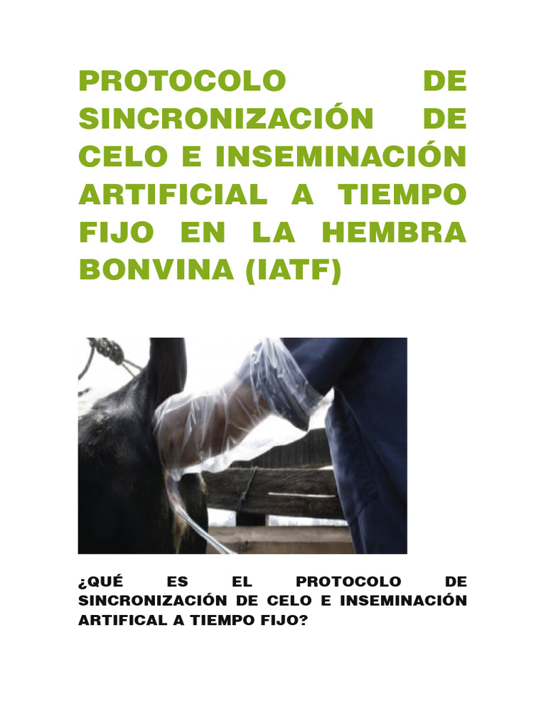 Protocolo de Sincronización de Celo e Inseminación Artificial A Tiempo Fijo en Bovinos | PDF