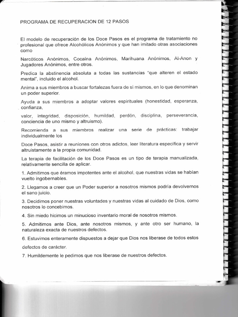 12 Pasos | PDF
