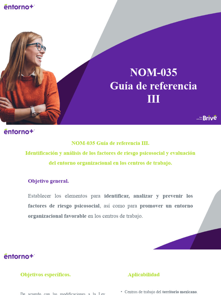 Reporte Ejecutivo Norma 035 | PDF | Liderazgo