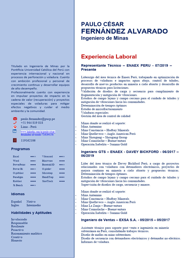 CV Paulo Fernández | PDF | Minería | Industria pesada