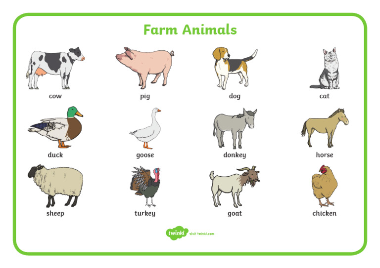 Farm Animals Word Mat | PDF