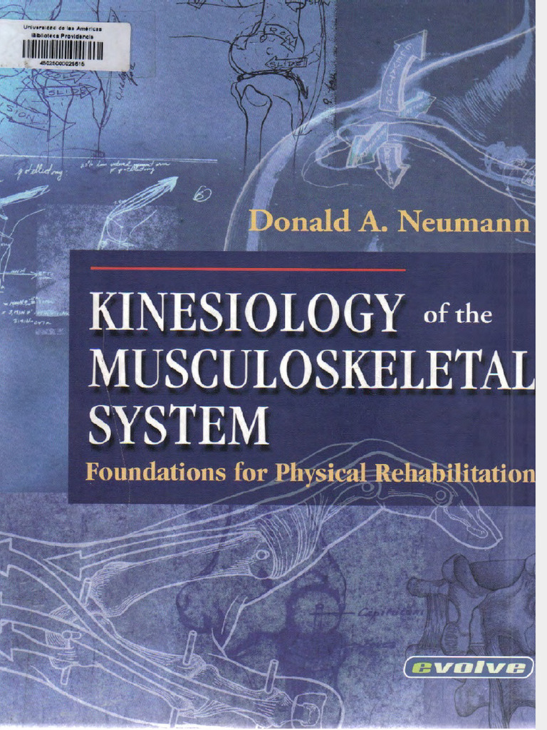 Dokumen - Tips Biomecanica-Neumann | PDF