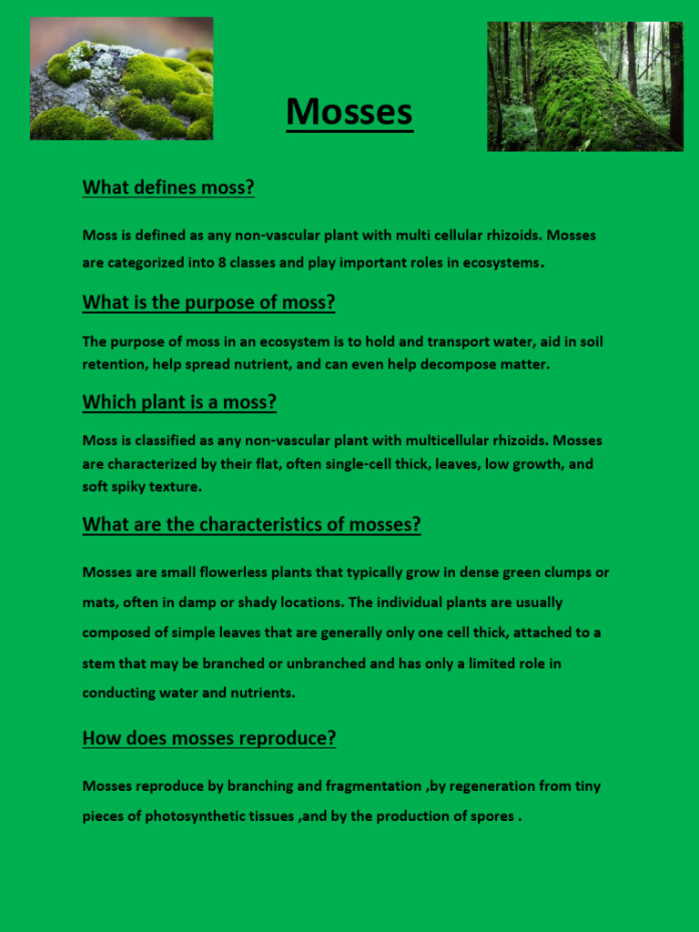 Mosses Project123456 | PDF
