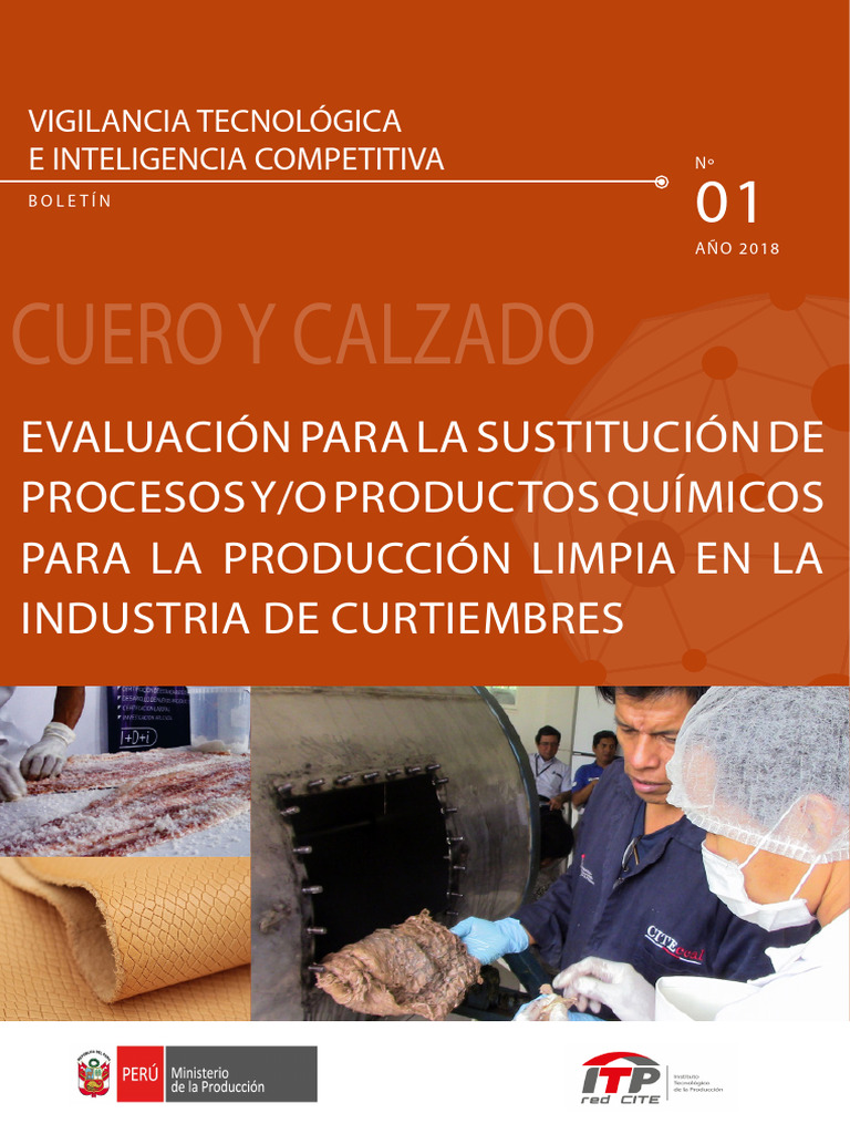 Cuero y Calzado | PDF