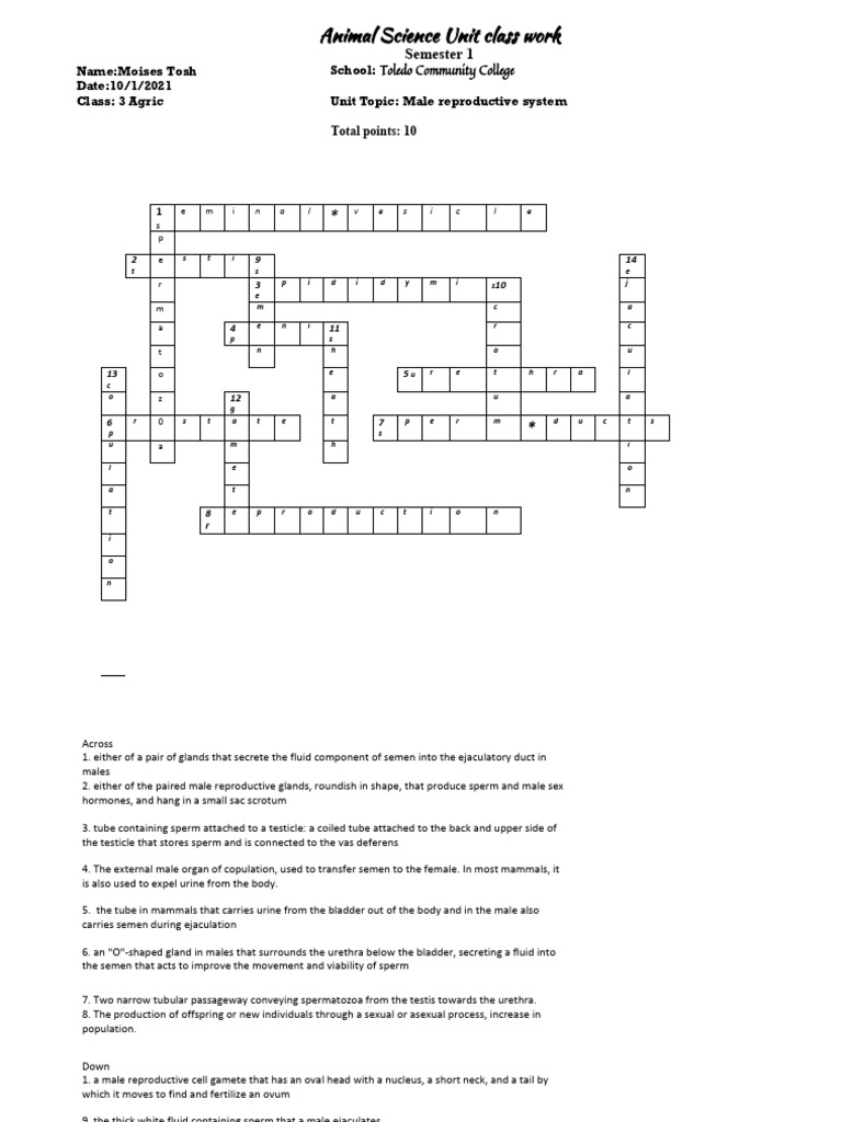 Male Reproductive Puzzle 2021 | PDF