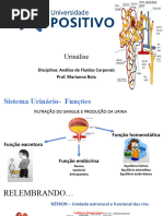 Atlas de Urinálise: Análise Completa | PDF