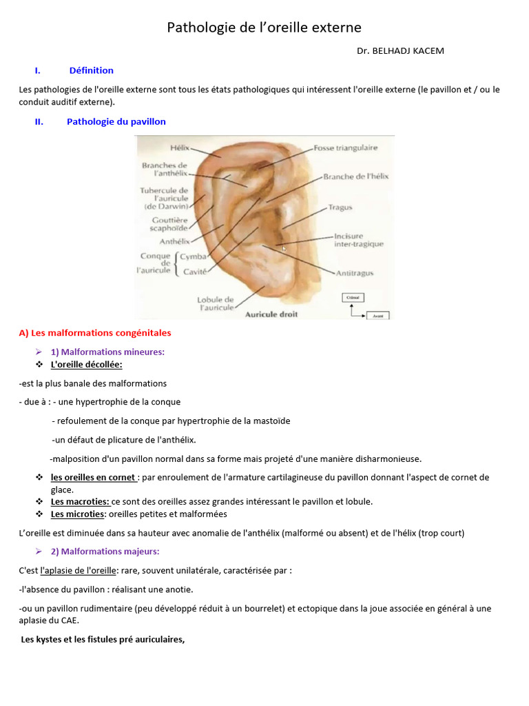 Pathologies de Loreille Externe | PDF