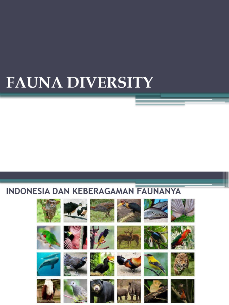 Fauna Diversity | PDF