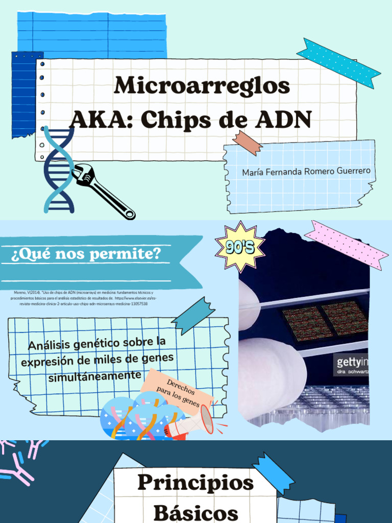 Microarreglos | PDF | Hibridación de ácido nucleico | Adn Microarray