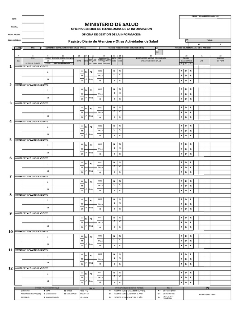 His Formato Nuevo en Blanco | PDF