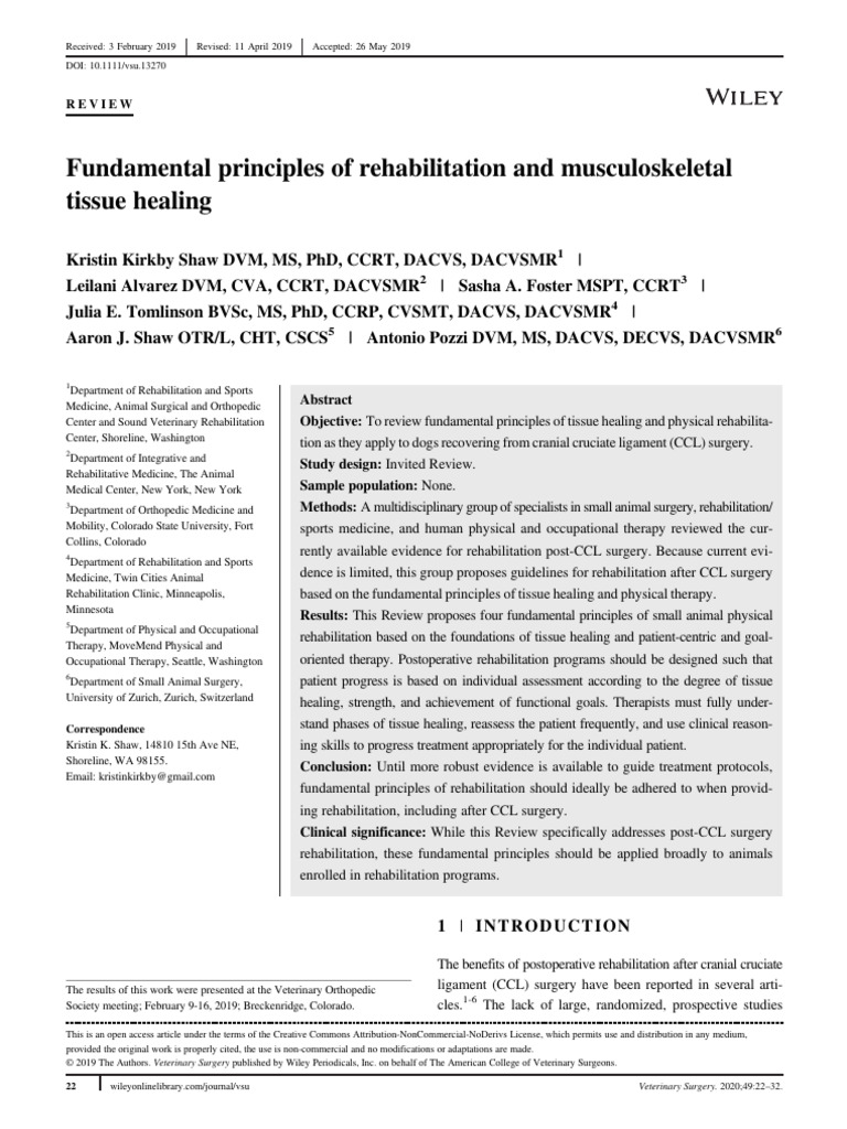 Fundamental Principles of Rehabilitation and Musculoskeletal | PDF ...