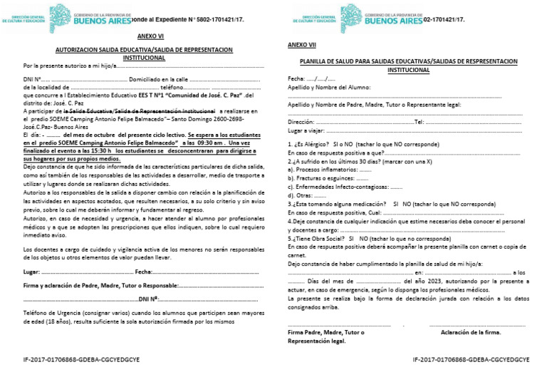 ANEXO VI y VII | PDF