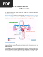 Blood Circulation Flow Chart | PDF