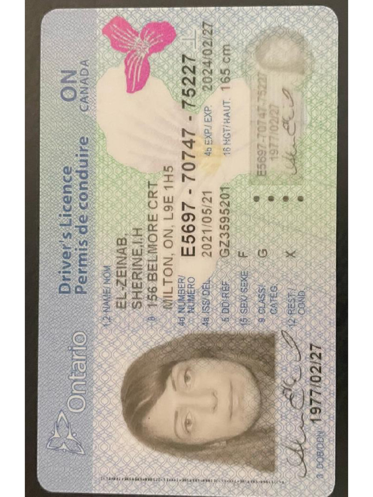 Driver License | PDF