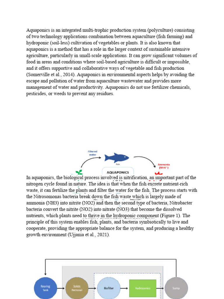 Theoretical Framework Samples | PDF
