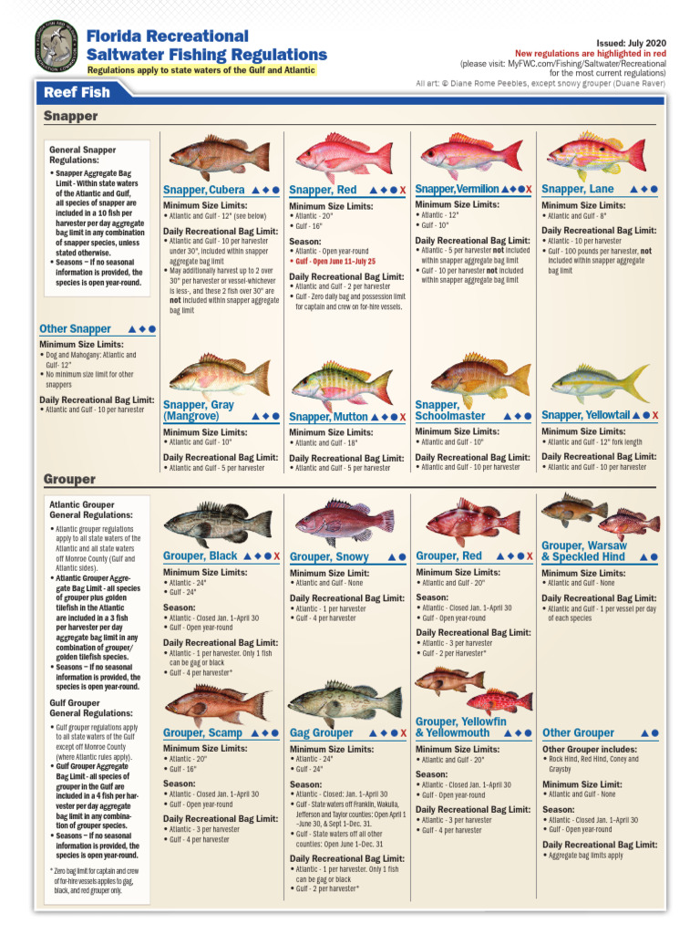 Florida Saltwater Fish Size Limits 2024 | PDF