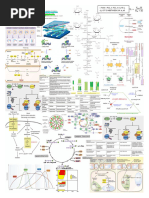 Science Olympiad: Forensics Note Sheet | PDF | Fingerprint | Gel ...