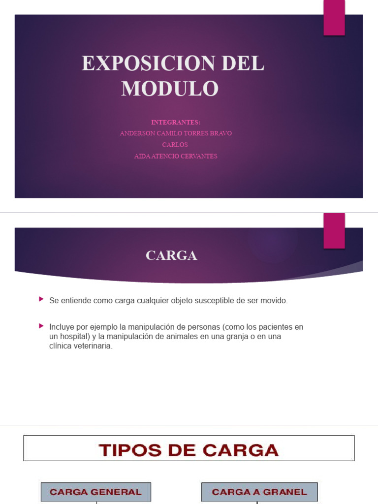 Tipos de Cargas | PDF