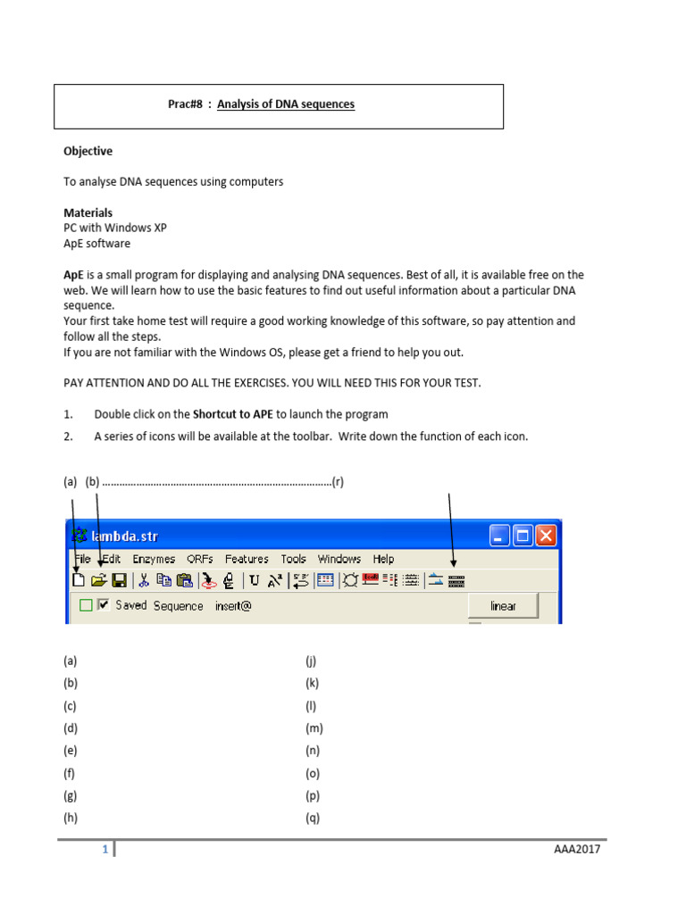 Instruction N Guidelines - LAB 8 & 9 - ANALYSIS OF DNA SEQUENCES | PDF | Open Reading Frame ...