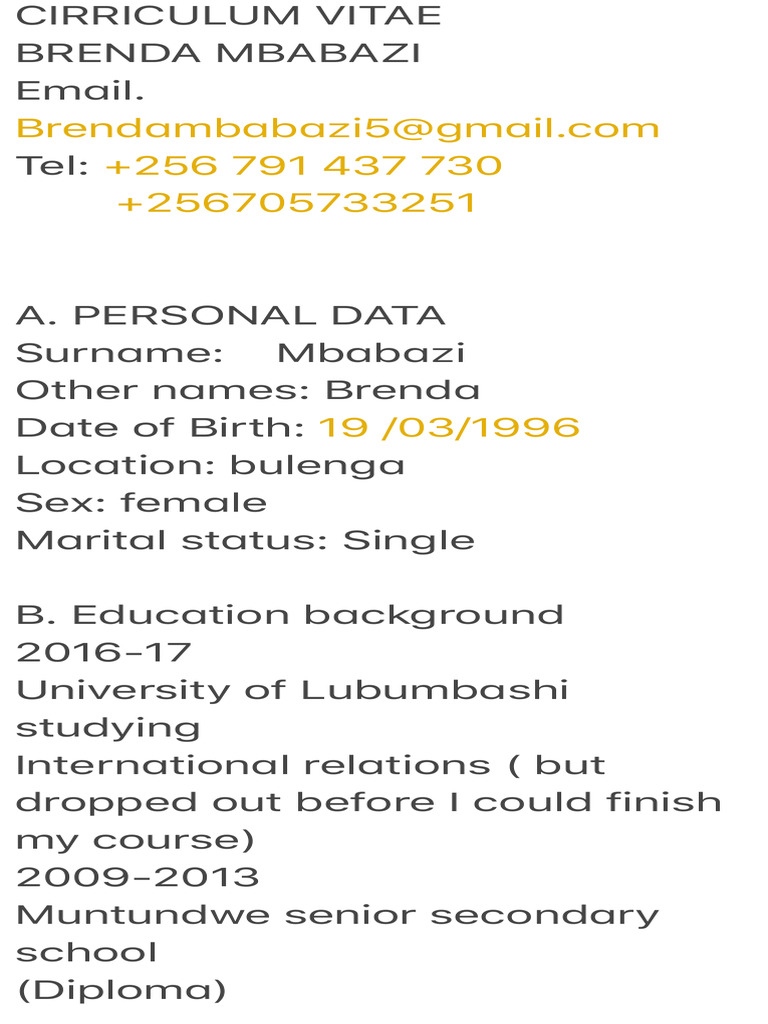 CIRRICULUM VITAE | PDF