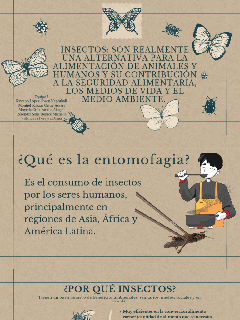 ENTOMOFAGIA | PDF | Insectos | Alimentos