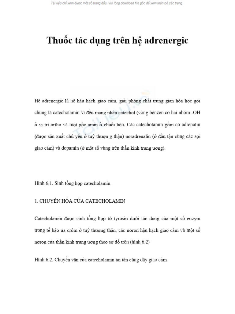 Thuốc tác dụng trên hệ adrenergic | PDF
