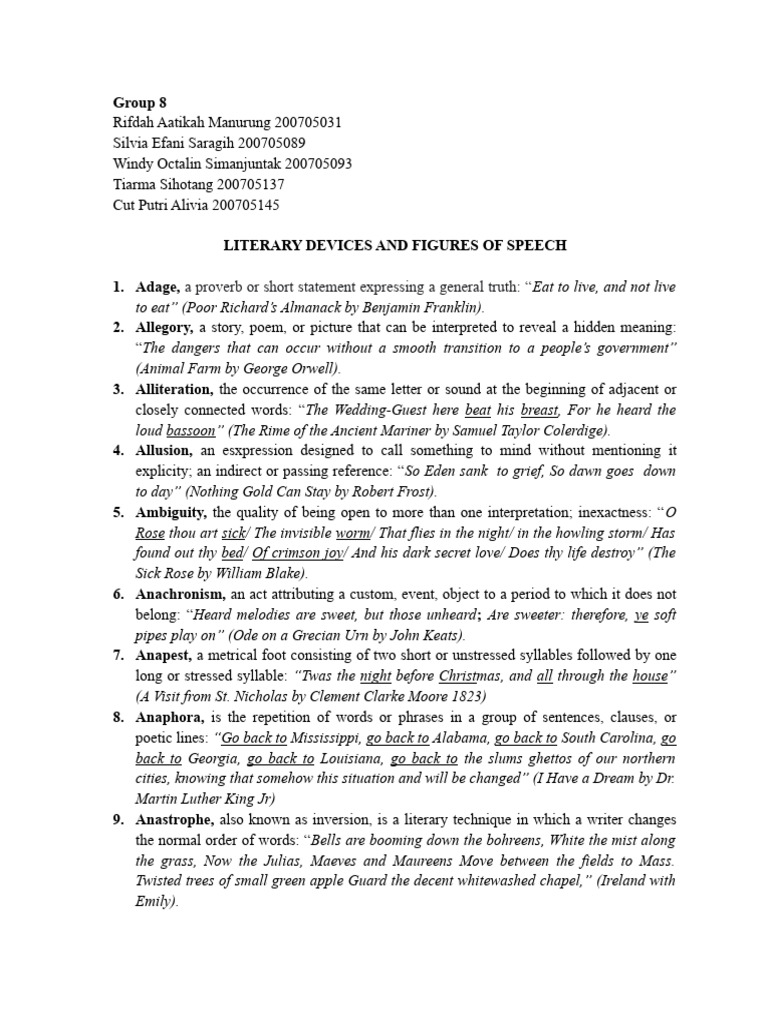 Literary Devices and Figures Guide | PDF