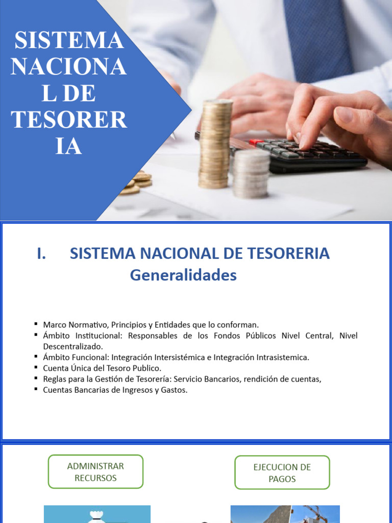 Sistema Nacional De Tesorería Principios Y Normas Pdf