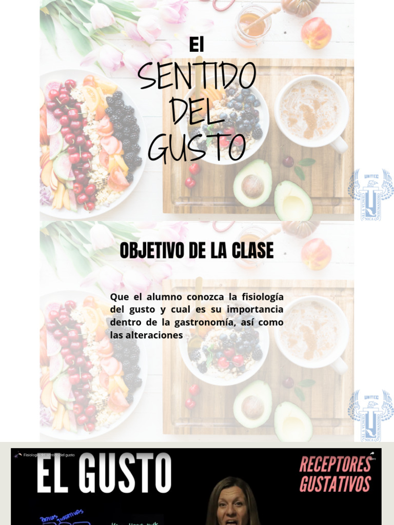 Sentido Del Gusto - 1 | PDF