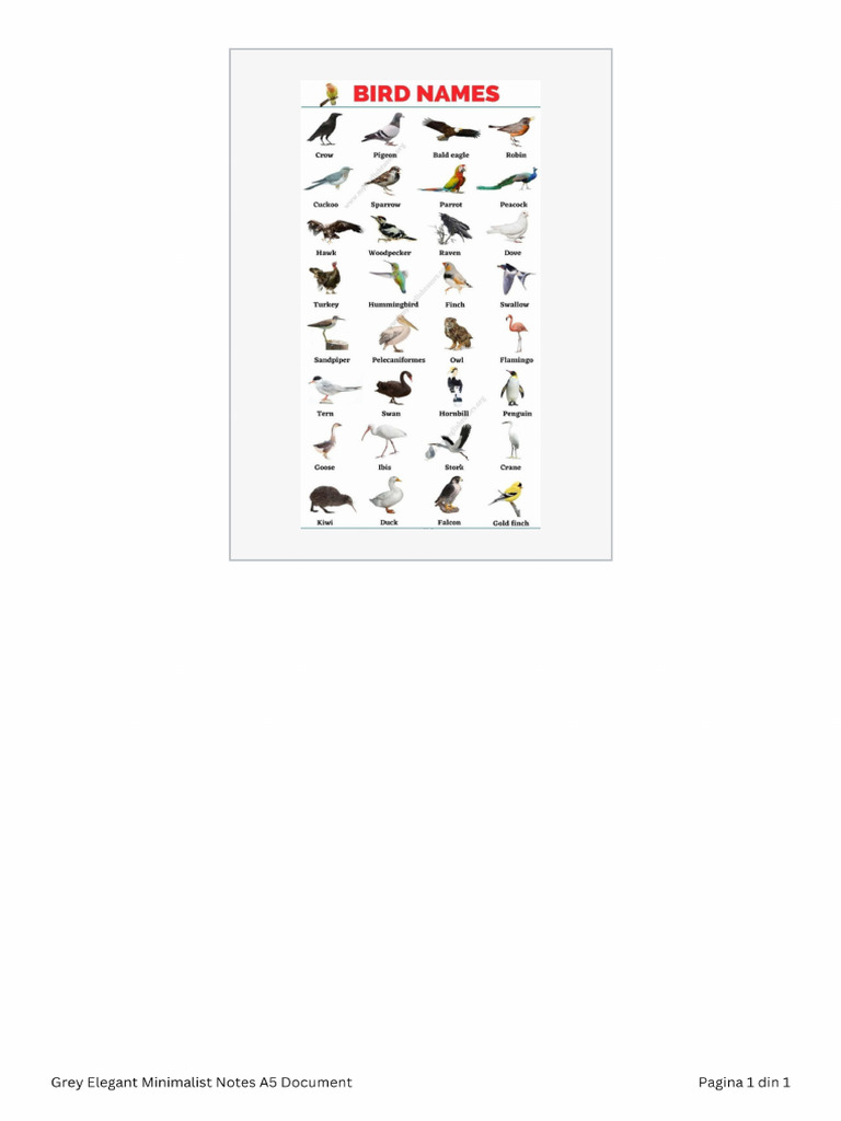 Grey Elegant Minimalist Notes A5 Document 8 | PDF