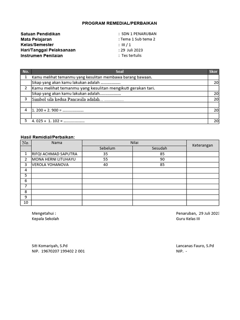 Program Remedial | PDF