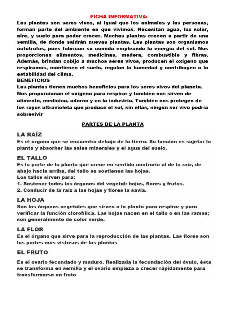 FICHA INFORMATIVA DE LA PLANTA | PDF