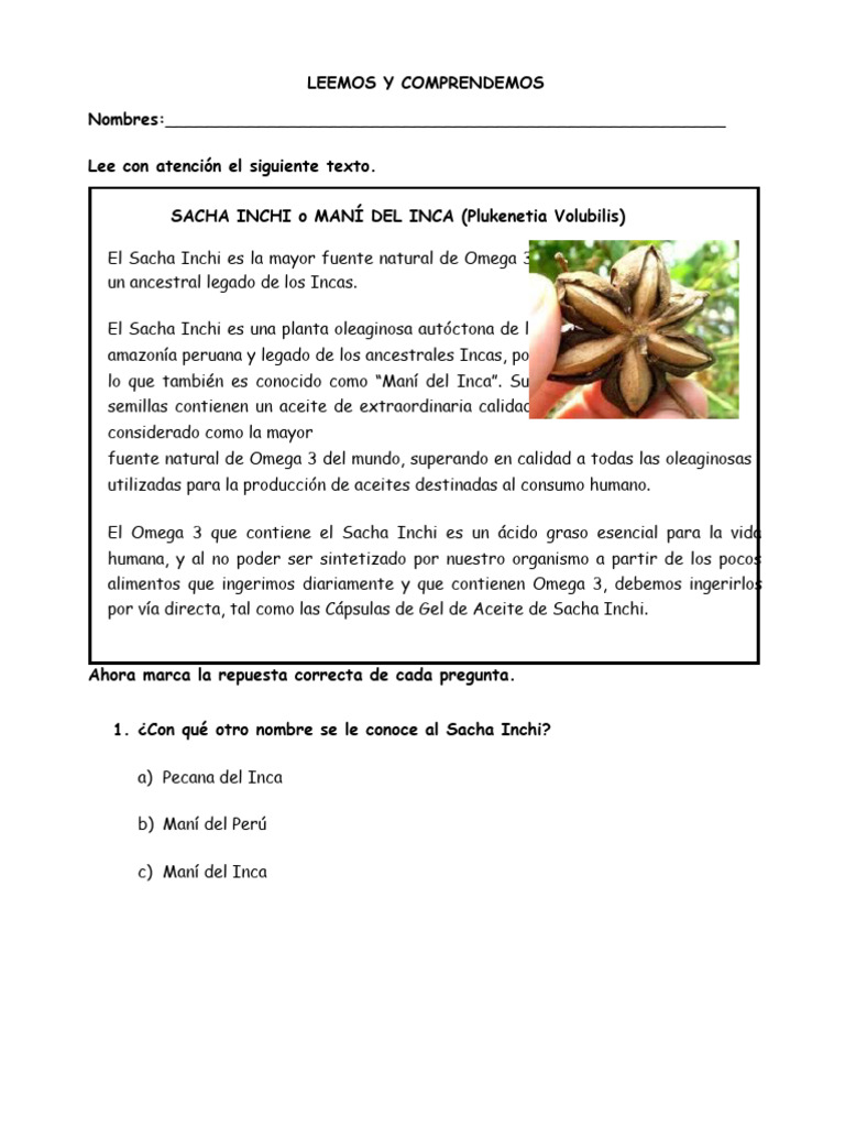 Leemos y Comprendemos | PDF