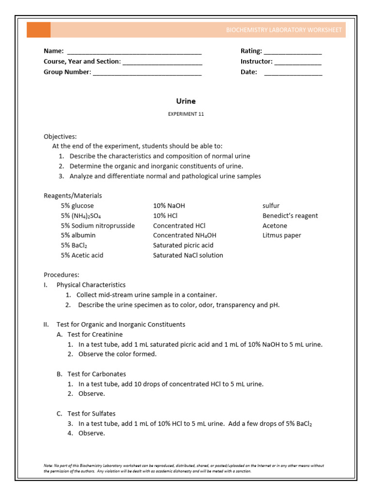 Experiment 11 Urine - Biochem Lab | PDF | Urine | Biochemistry