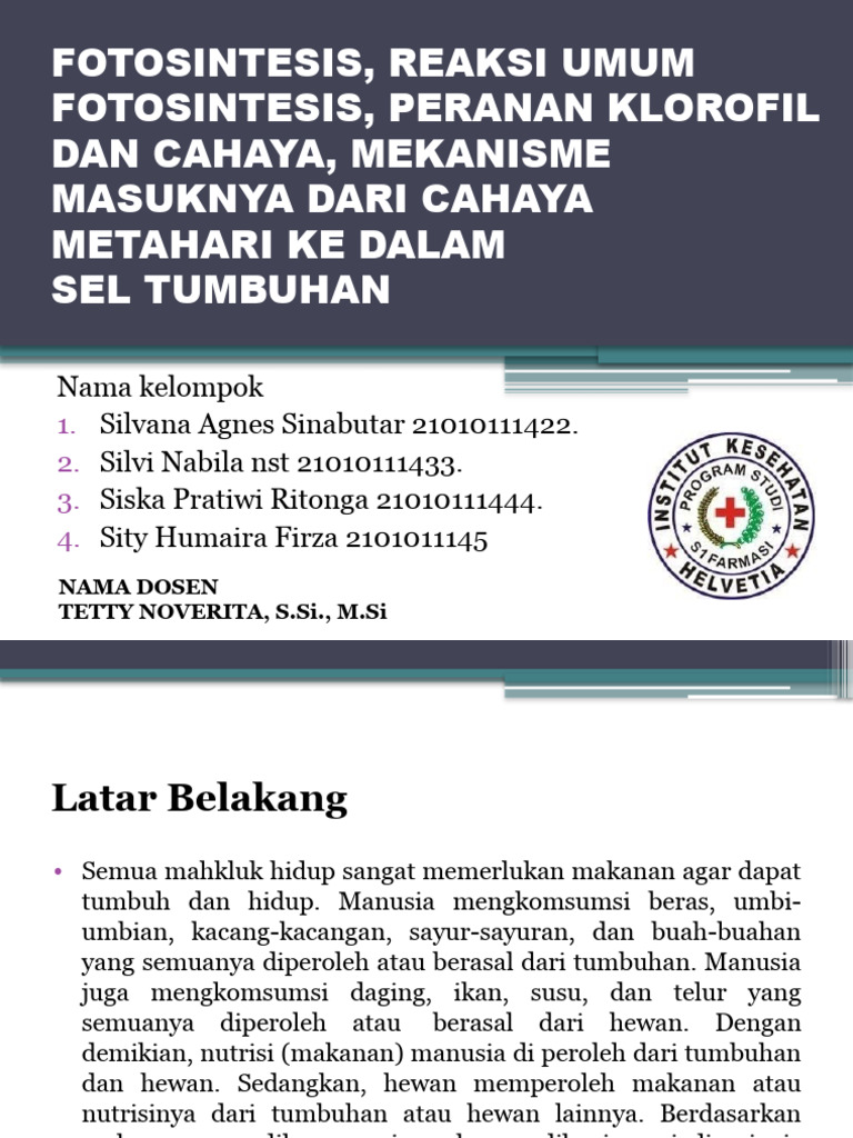 Fotosintesis, Reaksi Umum Fotosintesis, Peranan Klorofil Dan Cahaya ...