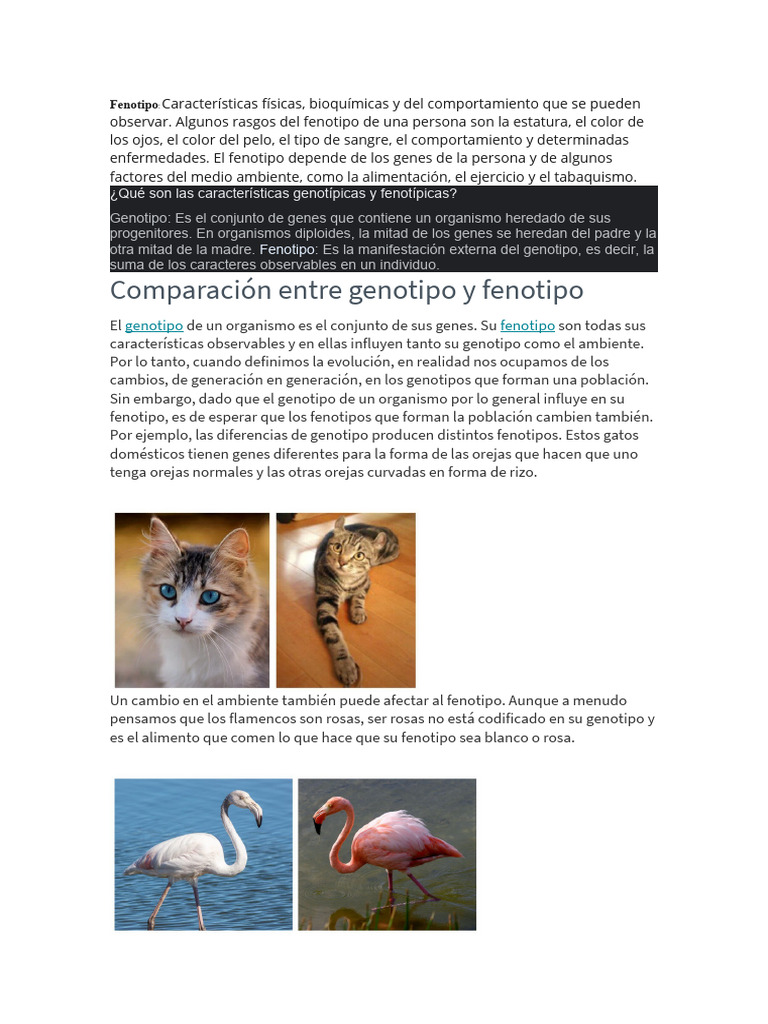 Fenotipo | PDF